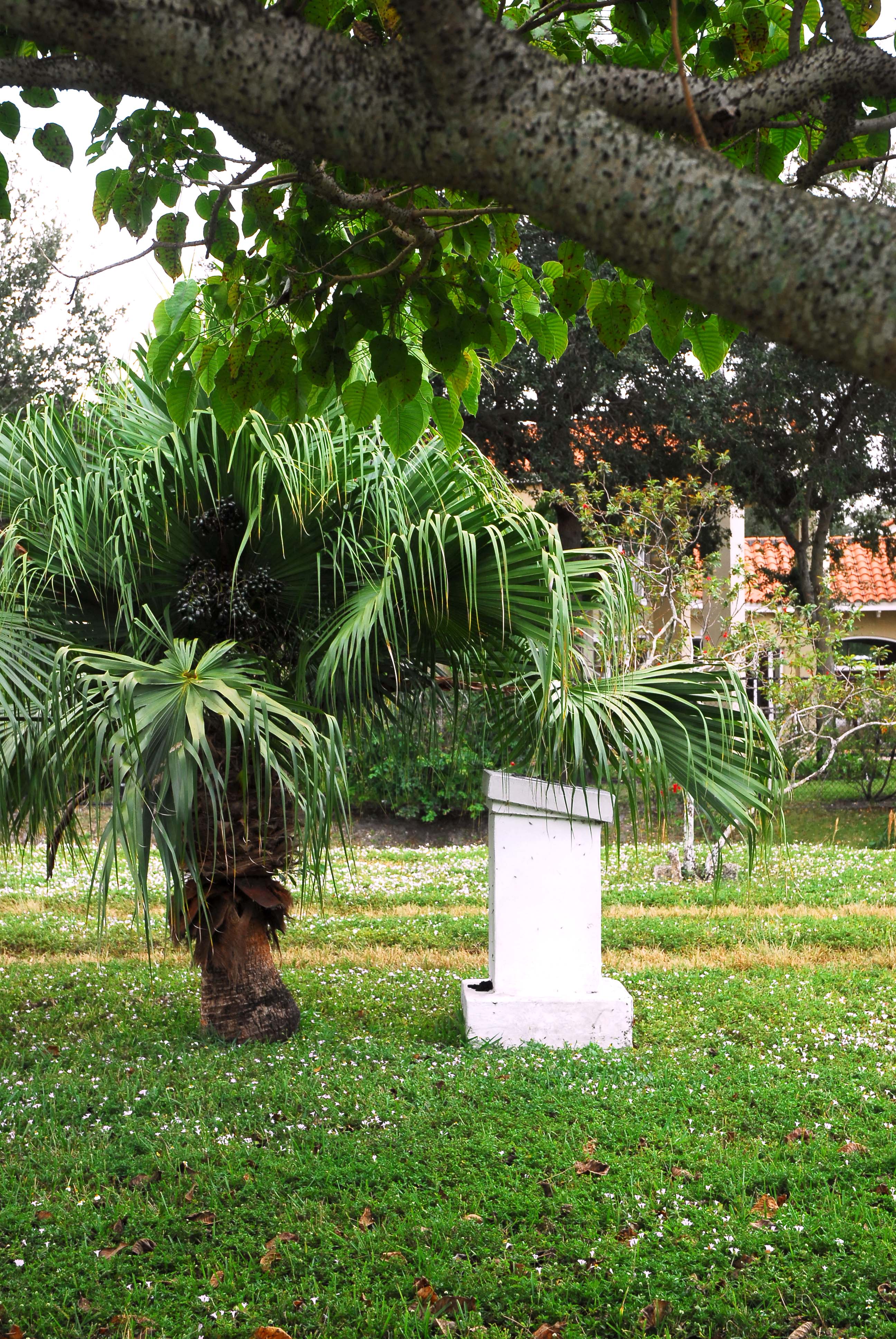 G. Carl Adams Memorial | Miami Springs FL
