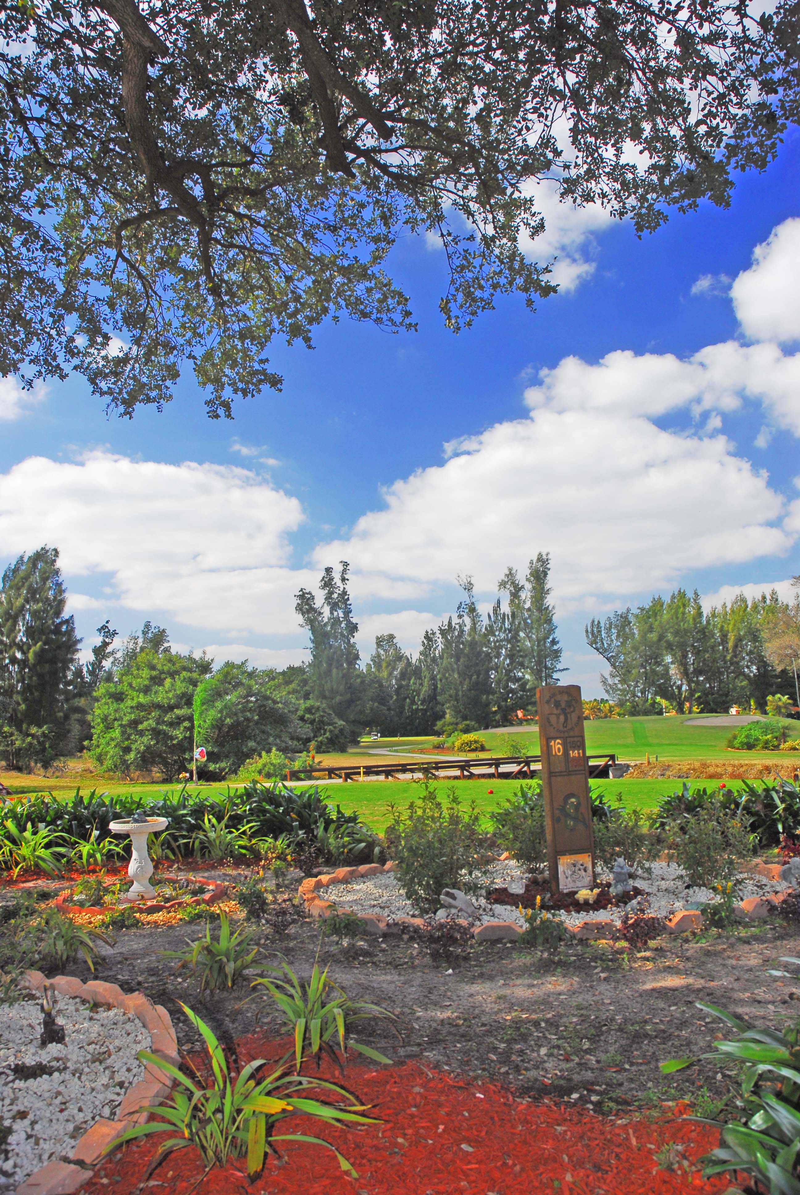 Miami Springs Golf Course | Miami Springs FL