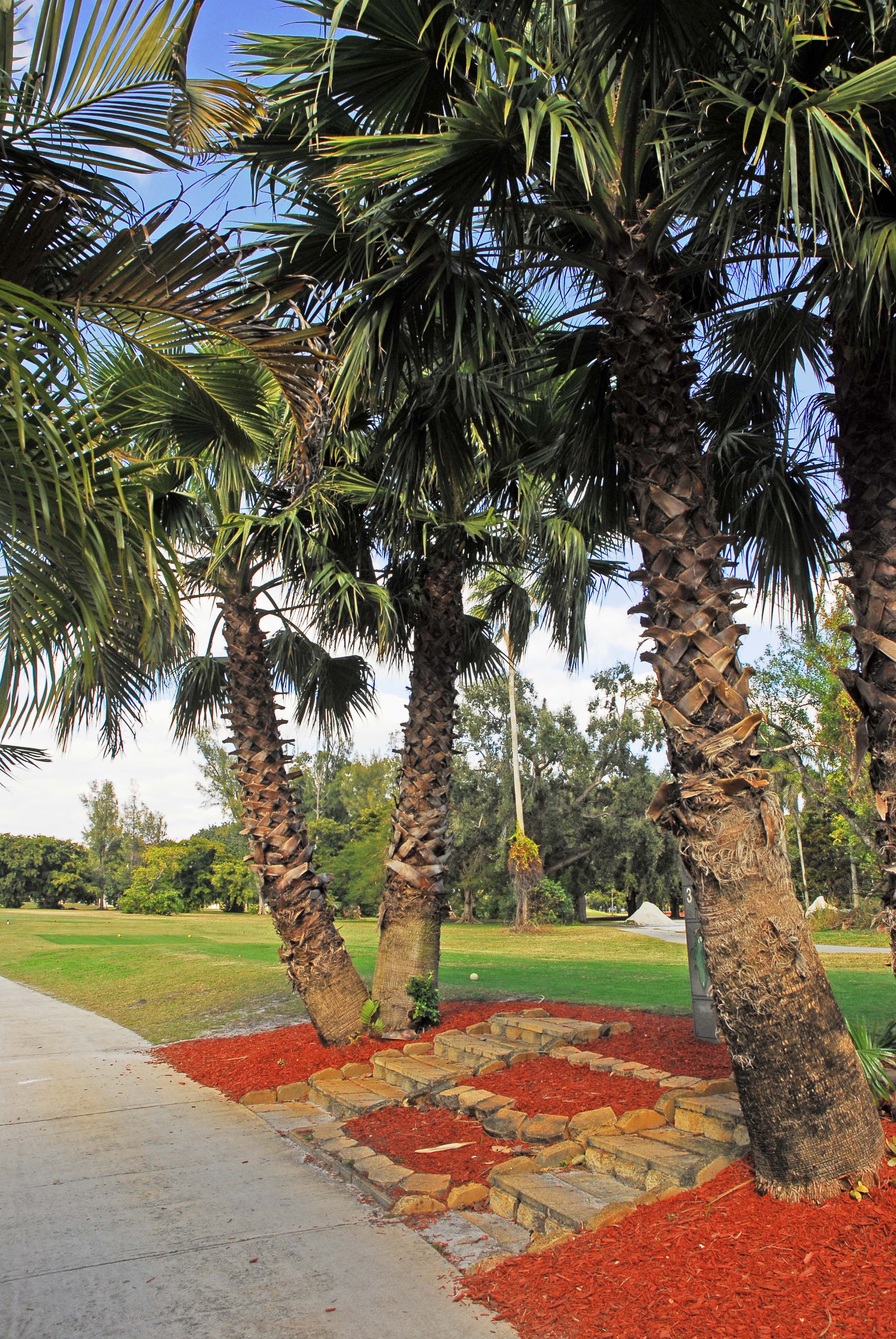 Miami Springs Golf Course | Miami Springs FL
