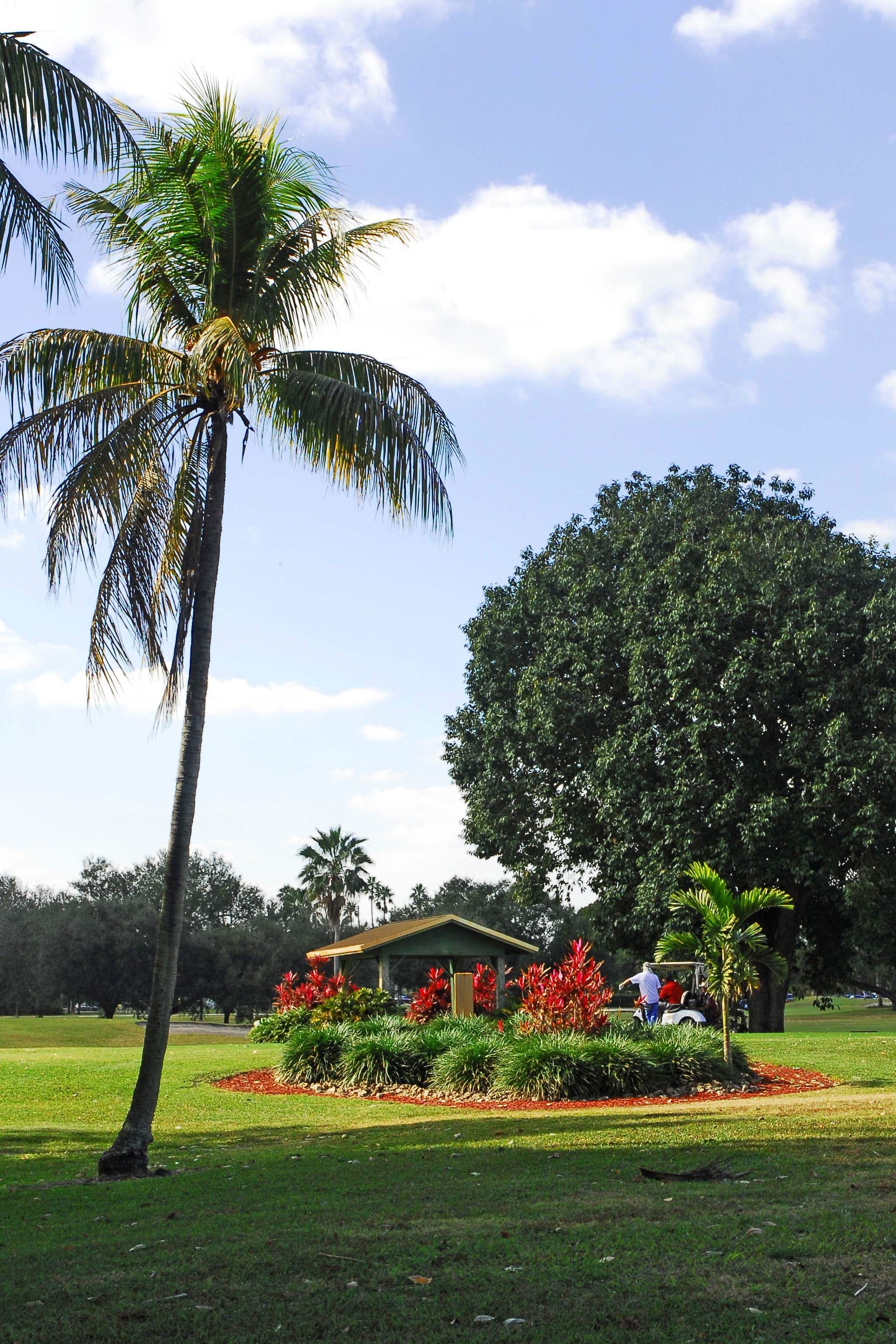 Miami Springs Golf Course | Miami Springs FL